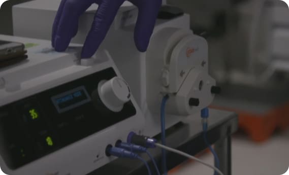 STAR Support - STARmed America